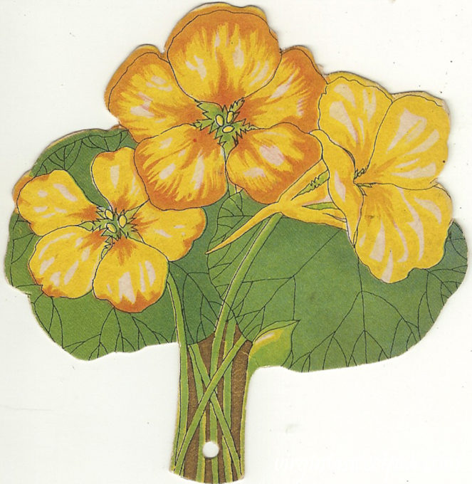 Vintage Bridge Tally Cards - Sweet Pea