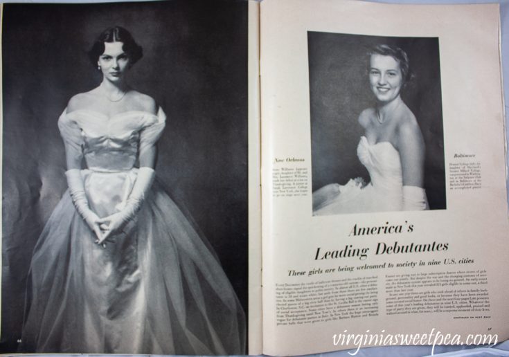 Life Magazine from December 25, 1950 - Sweet Pea