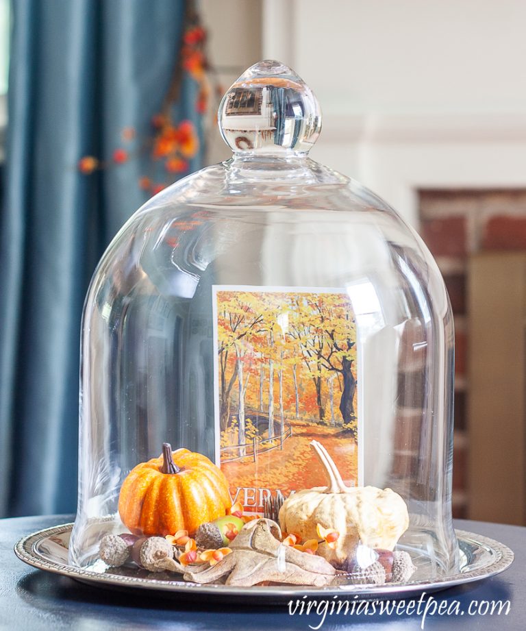 Fall Decorating Ideas for a Cloche - Sweet Pea