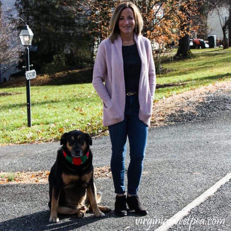 Stitch Fix Review for January 2021 - Fix #89 - Sweet Pea